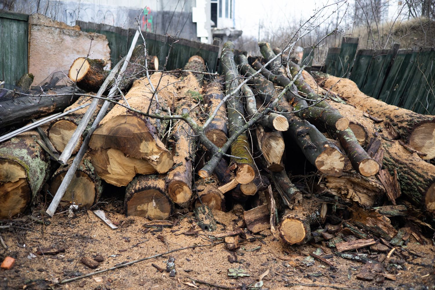 Best Ways to Dispose of Timber | All Gone Rubbish Removals