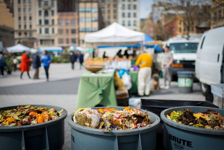 Food Waste Statistics Australia: Everything You Need To Know | All Gone ...