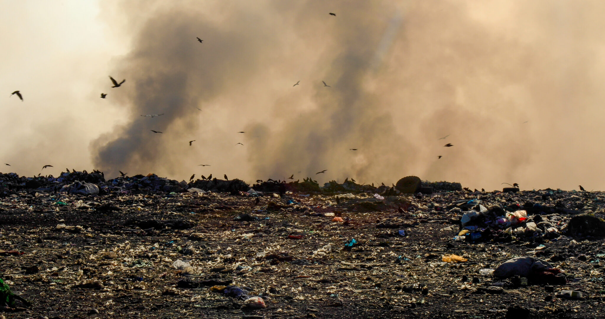 How to Reduce Waste: Ideas for Zero-Waste Living | All Gone Rubbish ...