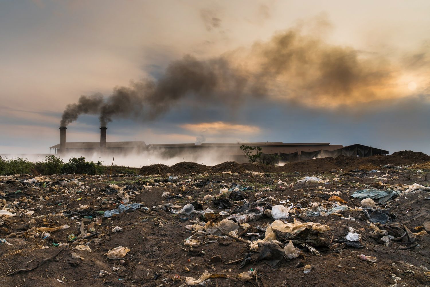 Australian Carbon Footprint Statistics: Facts & Insights | All Gone ...