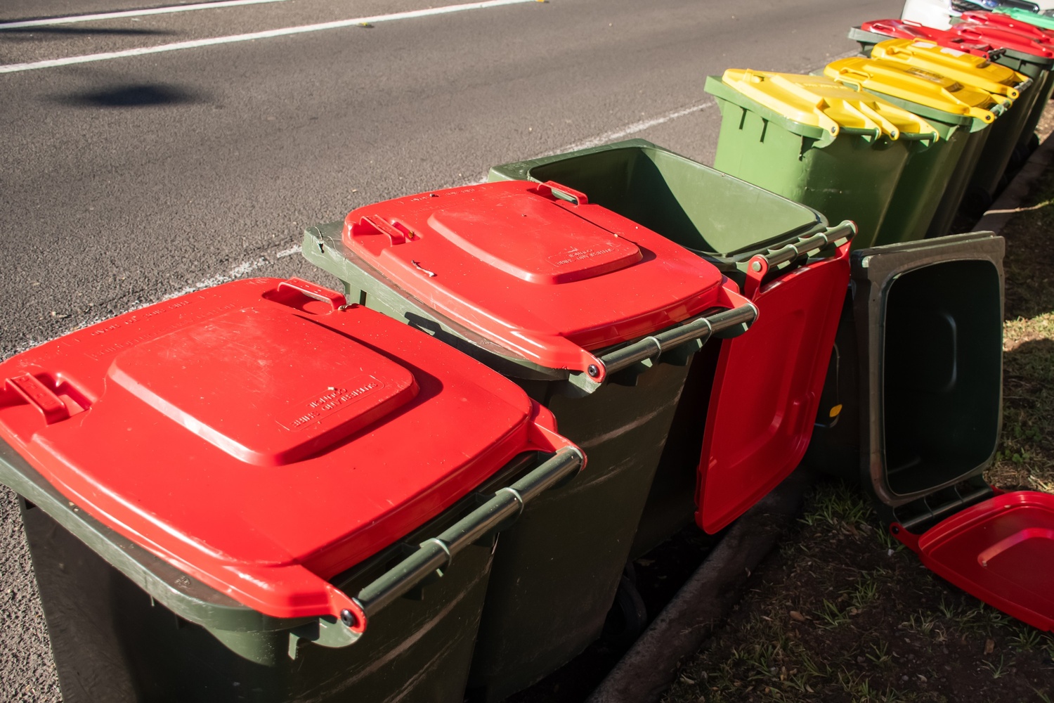 15 Reasons To Lock Up & Secure Your Rubbish Bins | All Gone Rubbish ...